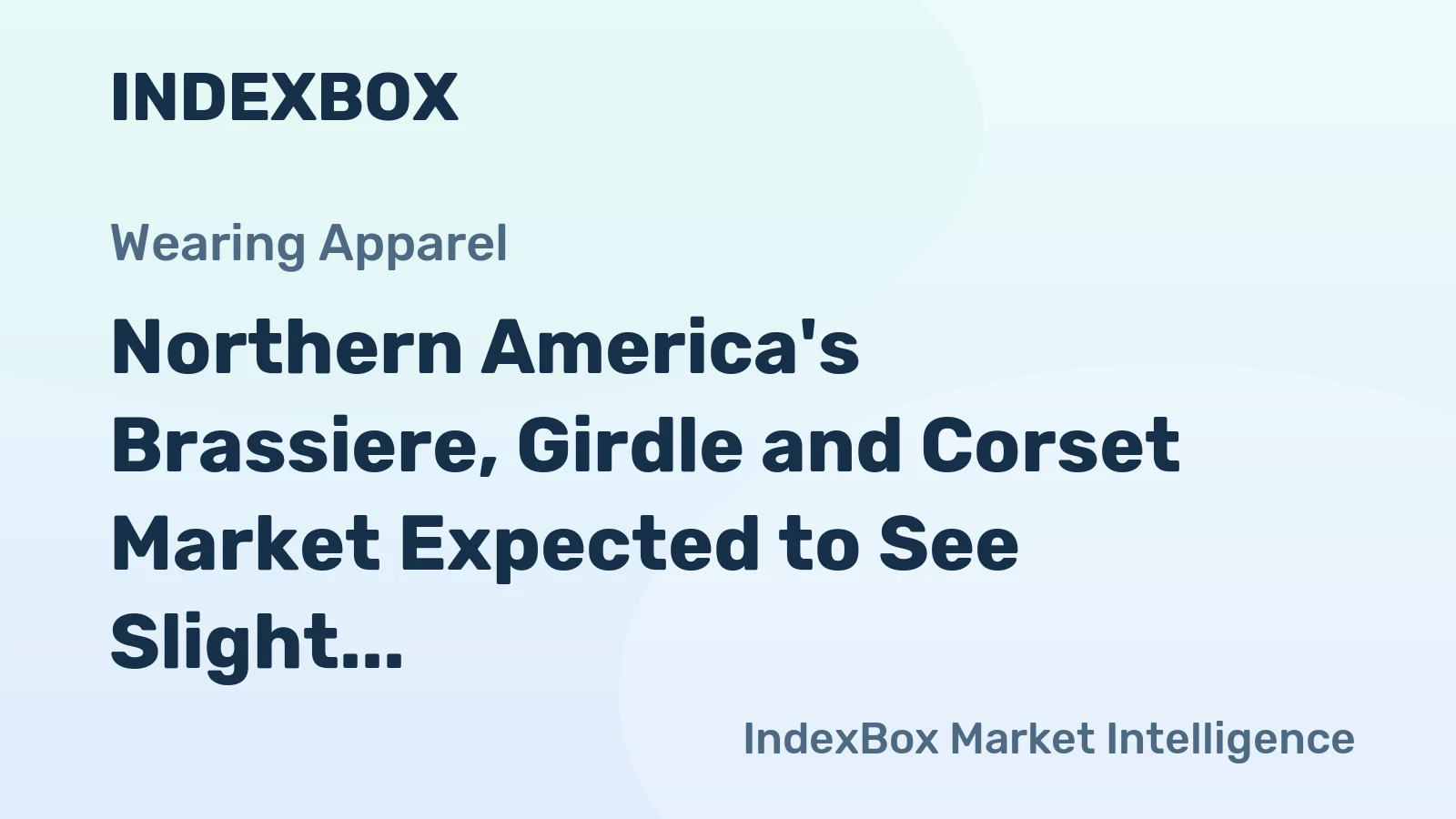 Northern America's Brassiere, Girdle and Corset Market Expected to See Slight Growth with +0.3% CAGR