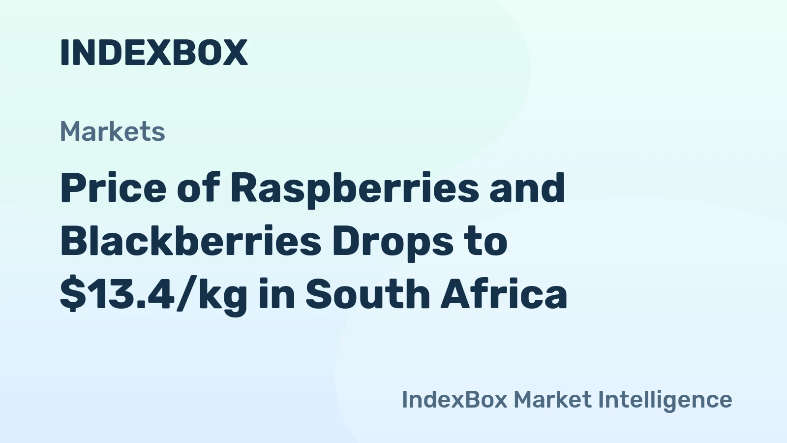 Price of Raspberries and Blackberries Drops to $13.4/kg in South Africa