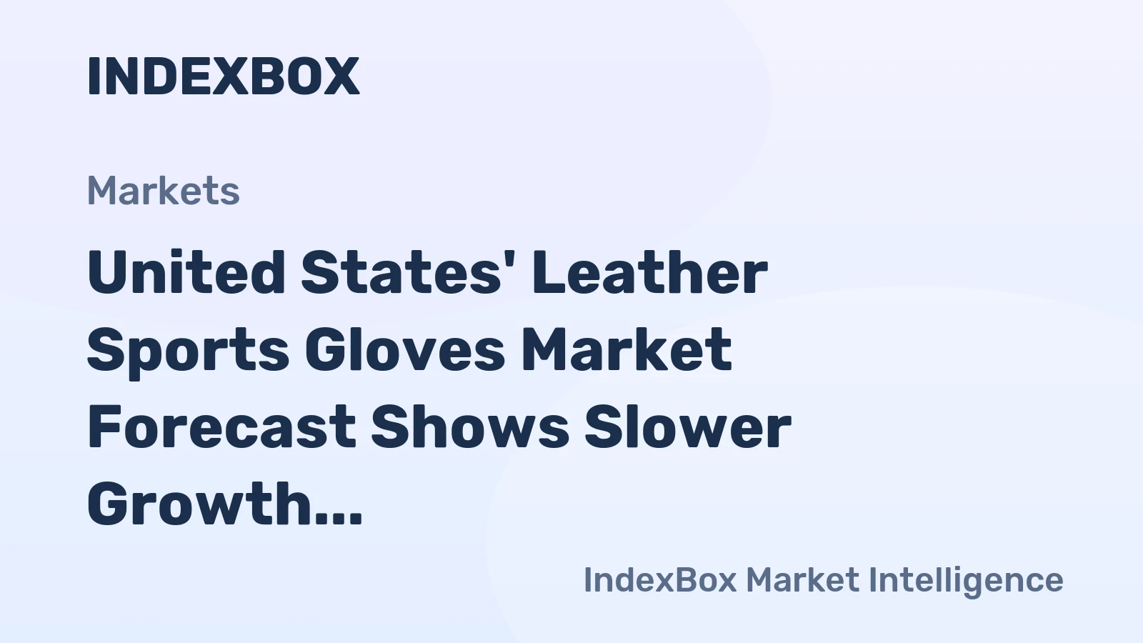 United States' Leather Sports Gloves Market Forecast Shows Slower Growth With a 22% Value CAGR