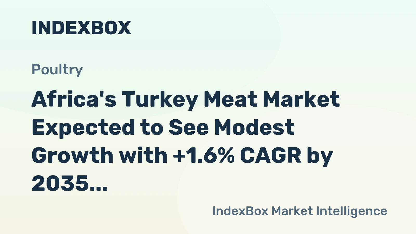 Africa's Turkey Meat Market Expected to See Modest Growth with +1.6% CAGR by 2035