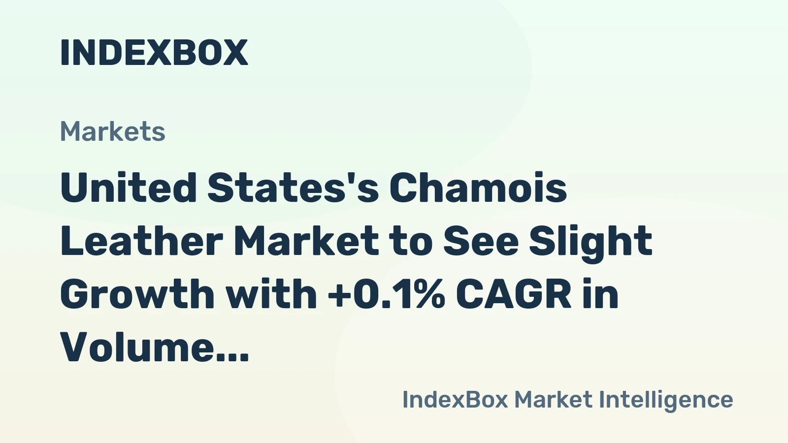 United States's Chamois Leather Market to See Slight Growth with +0.1% CAGR in Volume Consumption
