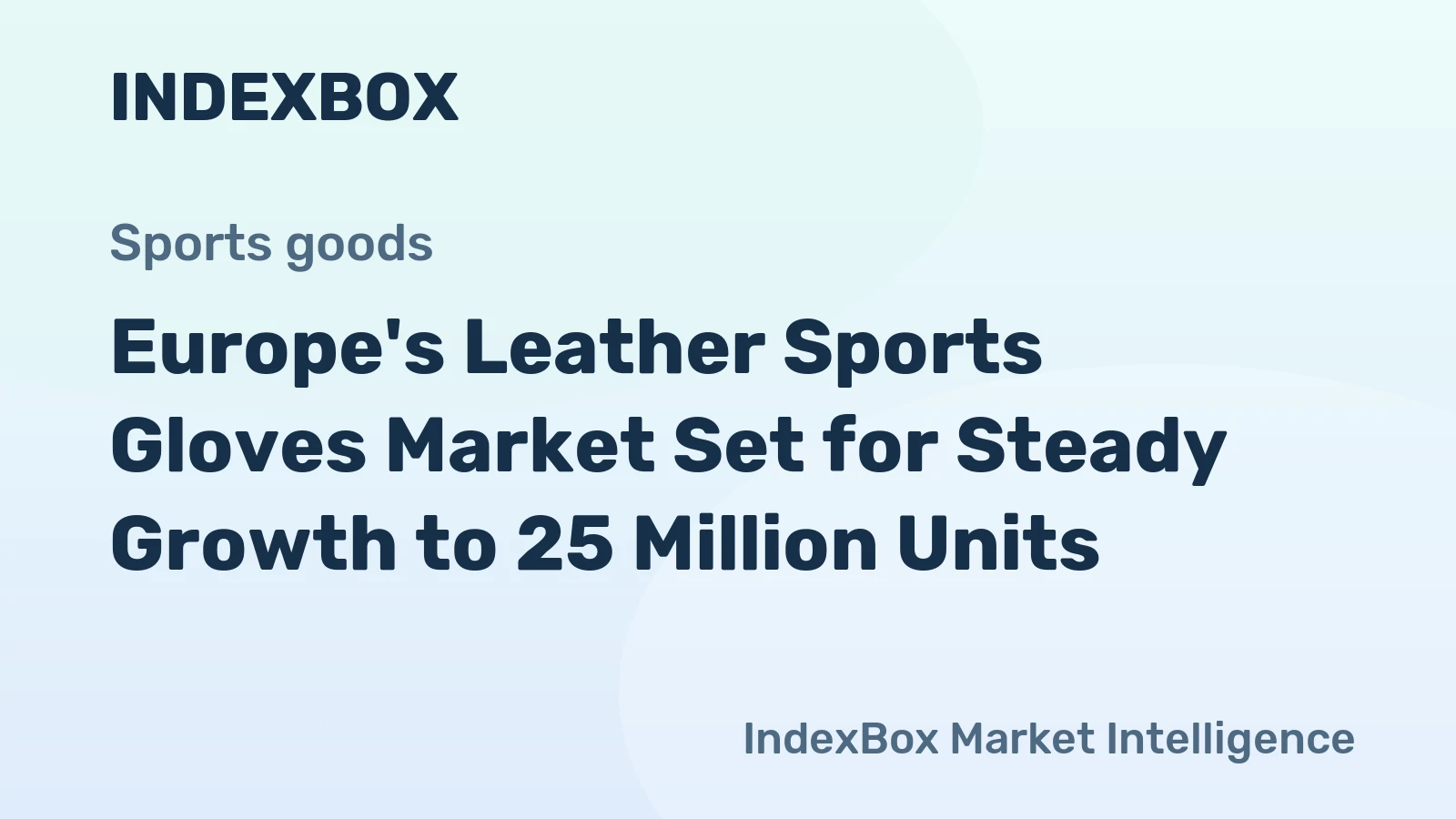 Europe's Leather Sports Gloves Market Set for Steady Growth to 25 Million Units