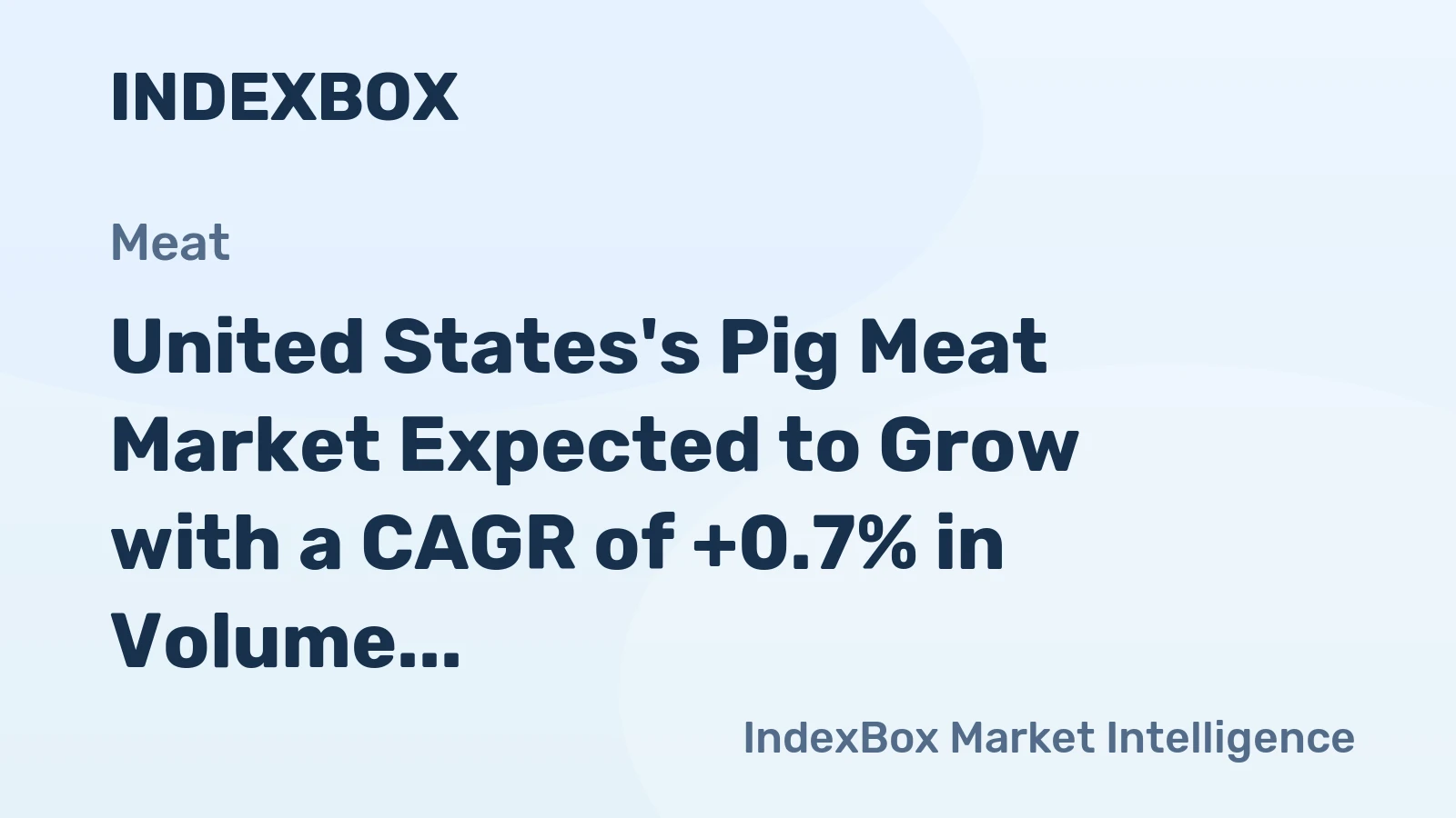 United States's Pig Meat Market Expected to Grow with a CAGR of +0.7% in Volume and +2.2% in Value from 2024 to 2035