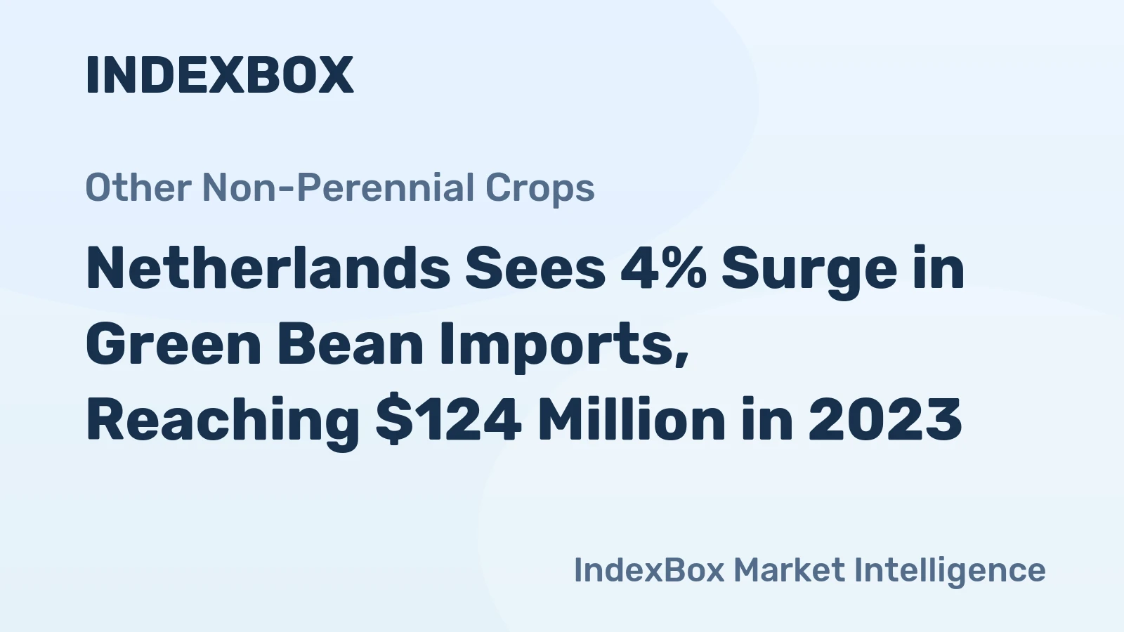 Netherlands Sees 4% Surge in Green Bean Imports, Reaching $124 Million in 2023