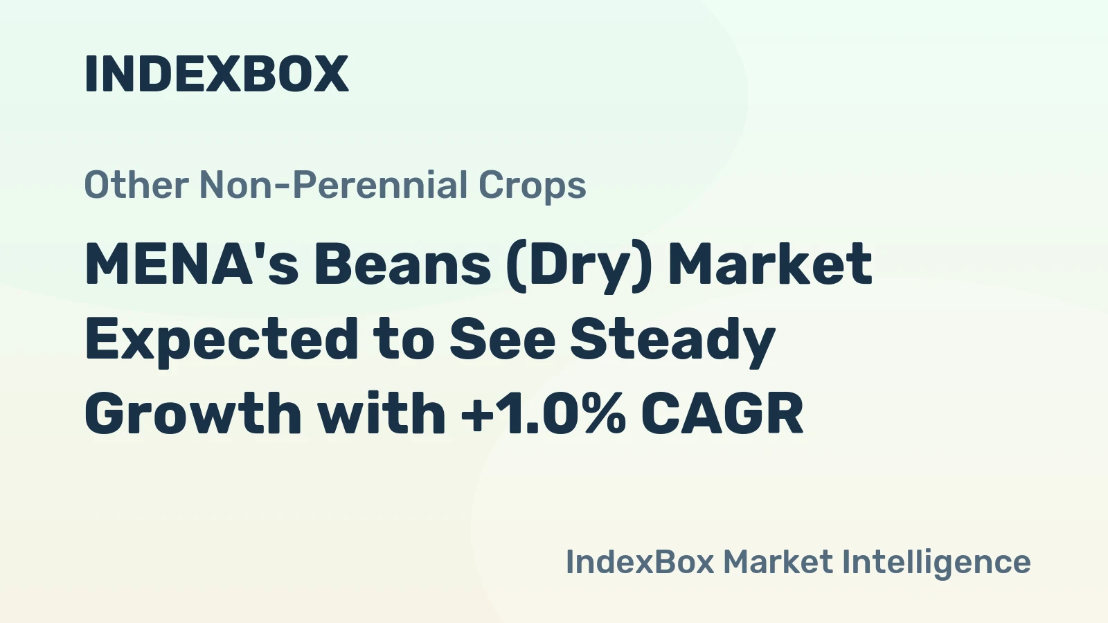 MENA's Beans (Dry) Market Expected to See Steady Growth with +1.0% CAGR