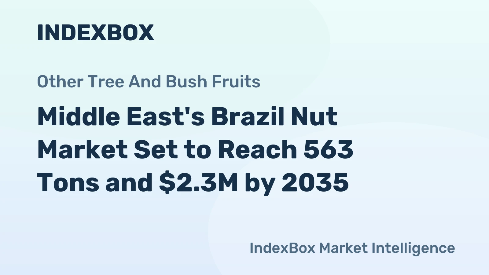 Middle East's Brazil Nut Market Set to Reach 563 Tons and $2.3M by 2035