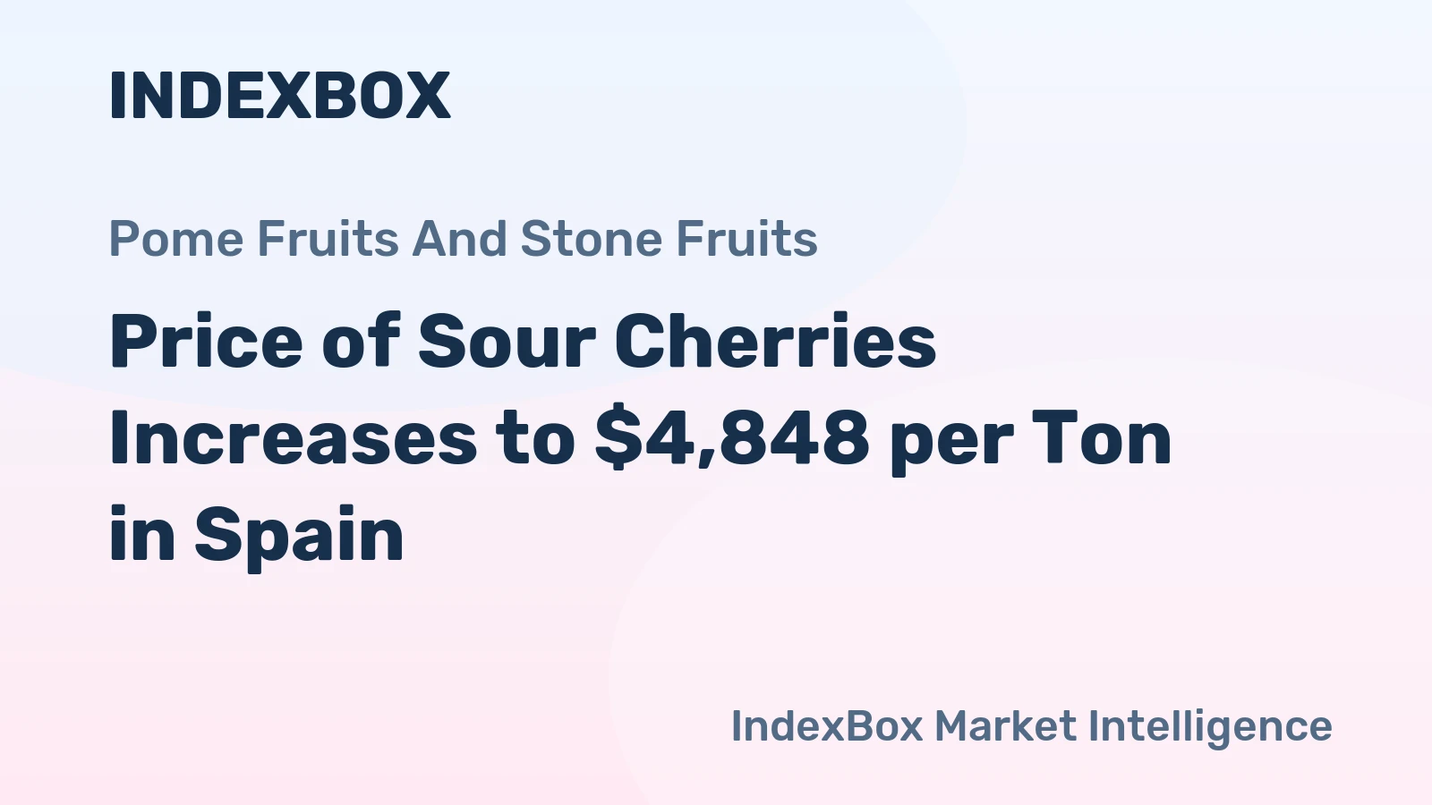 Price of Sour Cherries Increases to $4,848 per Ton in Spain