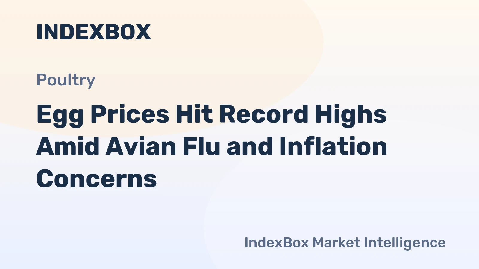 Egg Prices Hit Record Highs Amid Avian Flu and Inflation Concerns