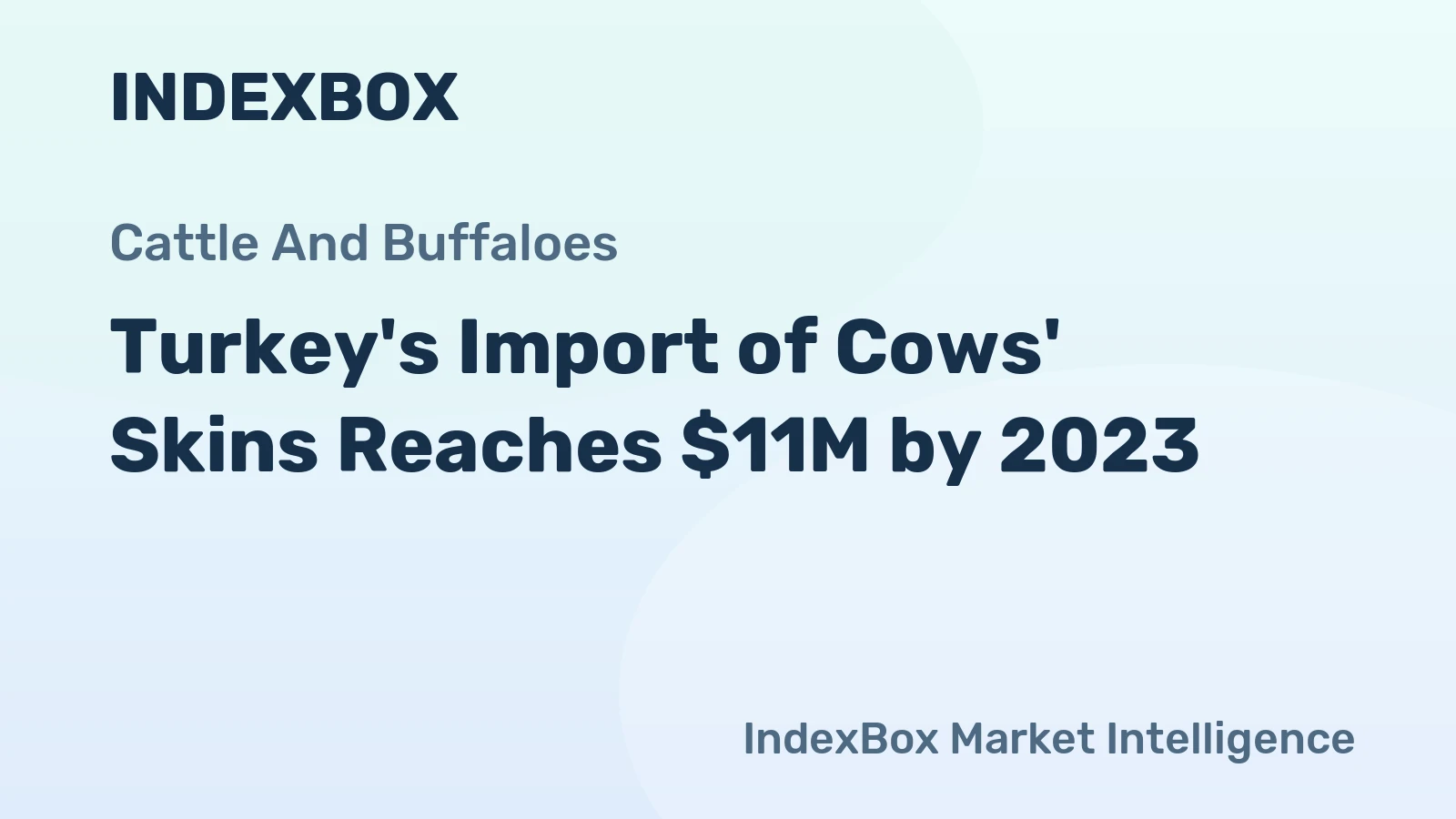 Turkey's Import of Cows' Skins Reaches $11M by 2023