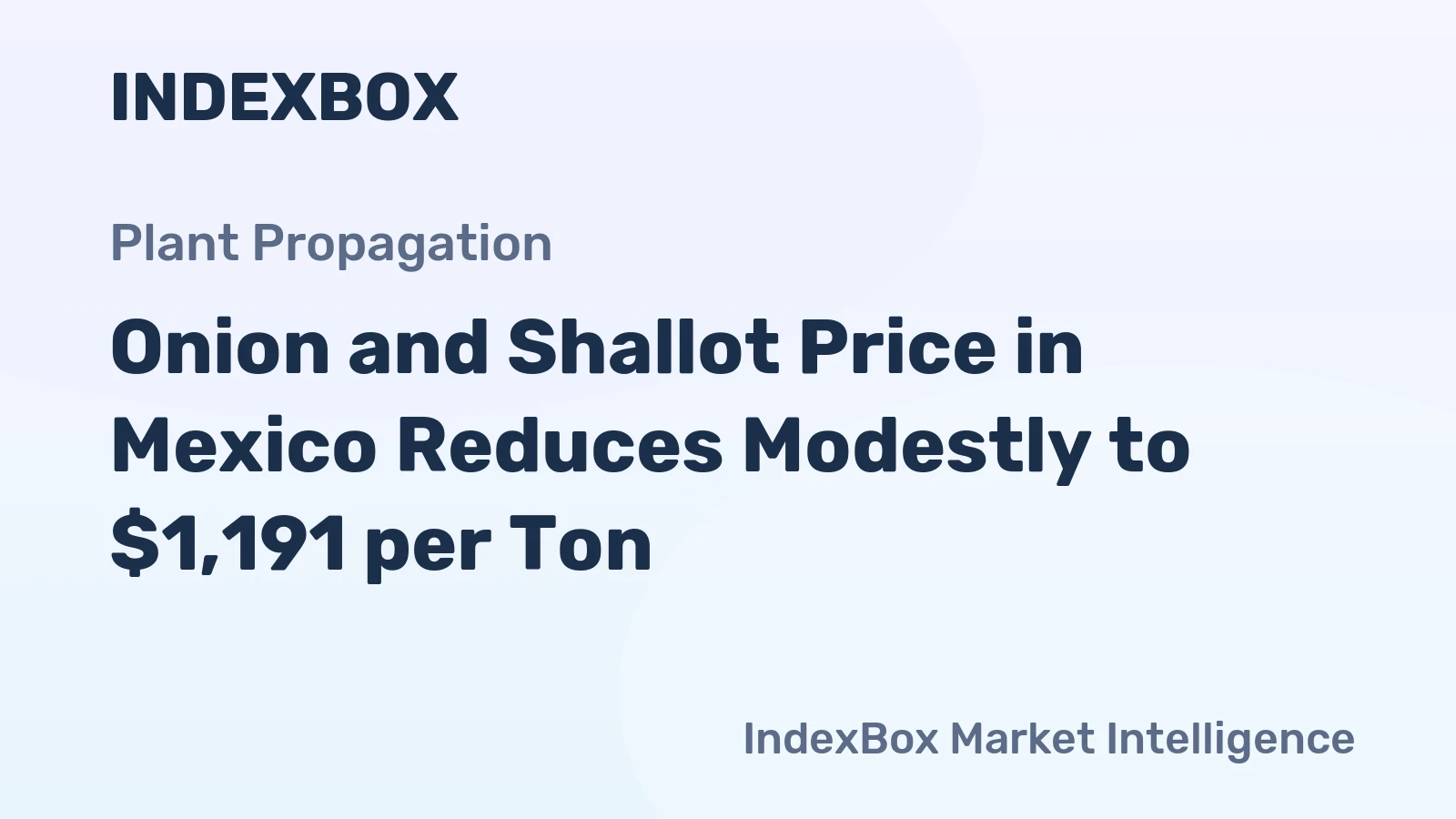 Onion and Shallot Price in Mexico Reduces Modestly to $1,191 per Ton
