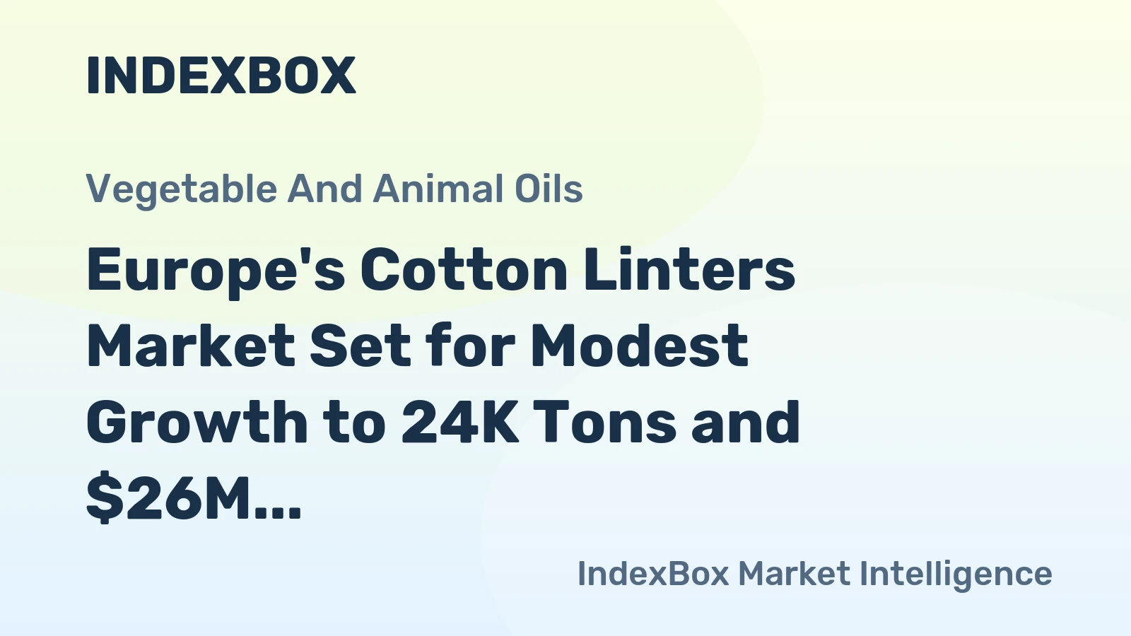 Europe's Cotton Linters Market Set for Modest Growth to 24K Tons and $26M Value