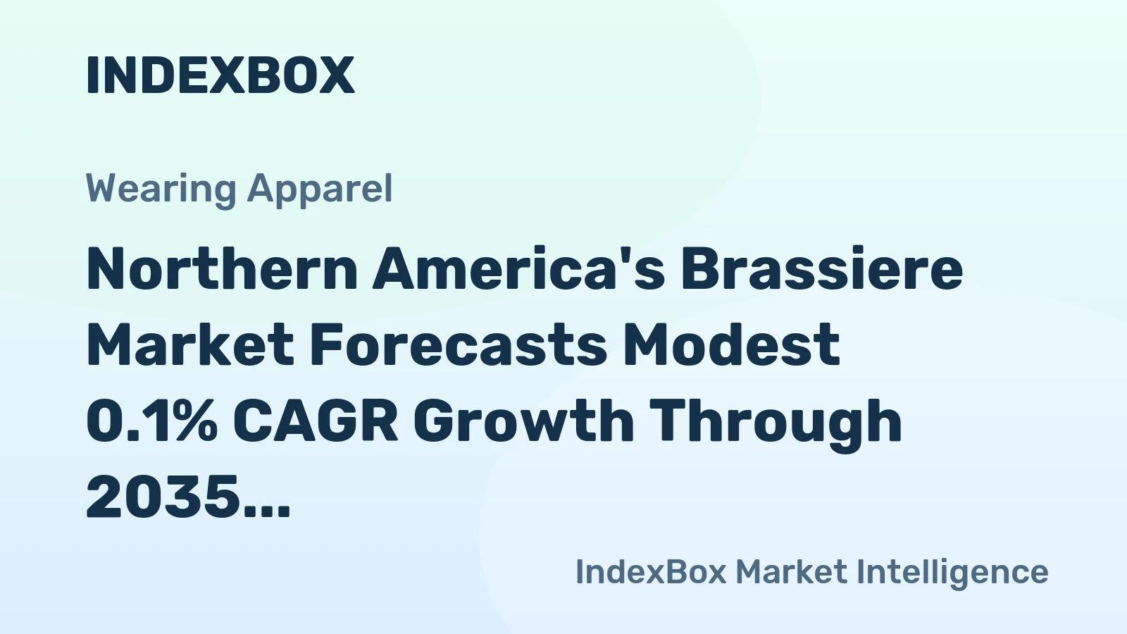 Northern America's Brassiere Market Forecasts Modest 0.1% CAGR Growth Through 2035