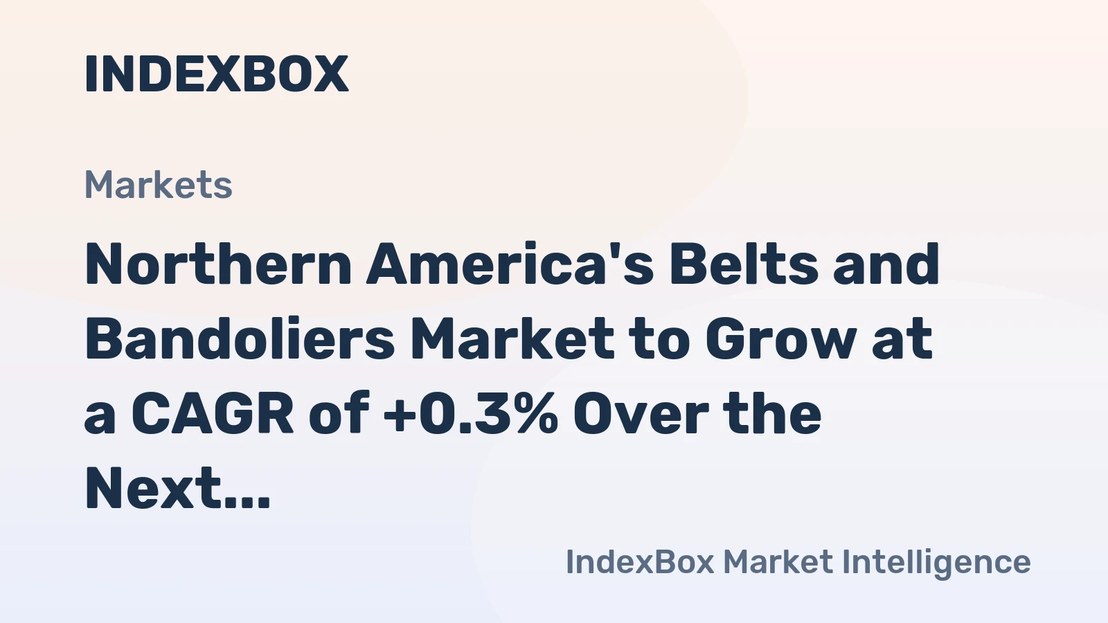 Northern America's Belts and Bandoliers Market to Grow at a CAGR of +0.3% Over the Next Decade