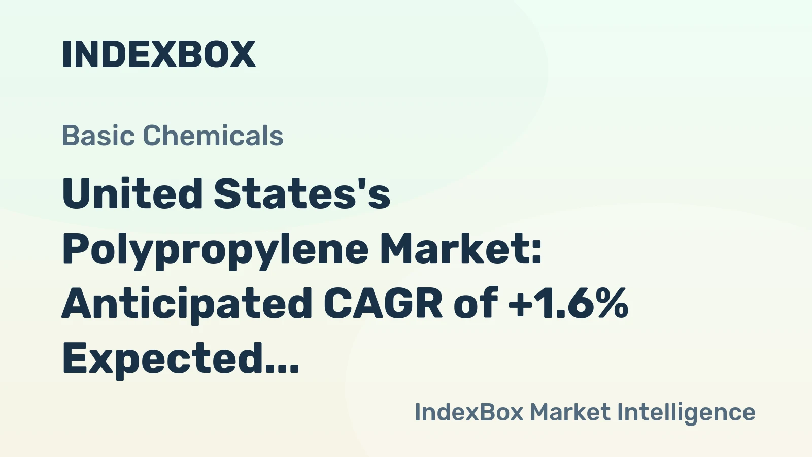 United States's Polypropylene Market: Anticipated CAGR of +1.6% Expected to Drive Up Consumption Over Next Decade