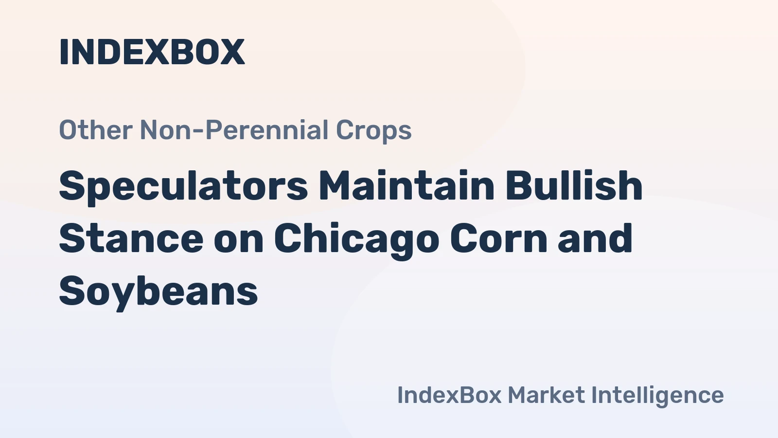 Speculators Maintain Bullish Stance on Chicago Corn and Soybeans