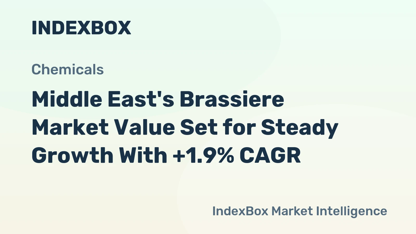 Middle East's Brassiere Market Value Set for Steady Growth With +1.9% CAGR