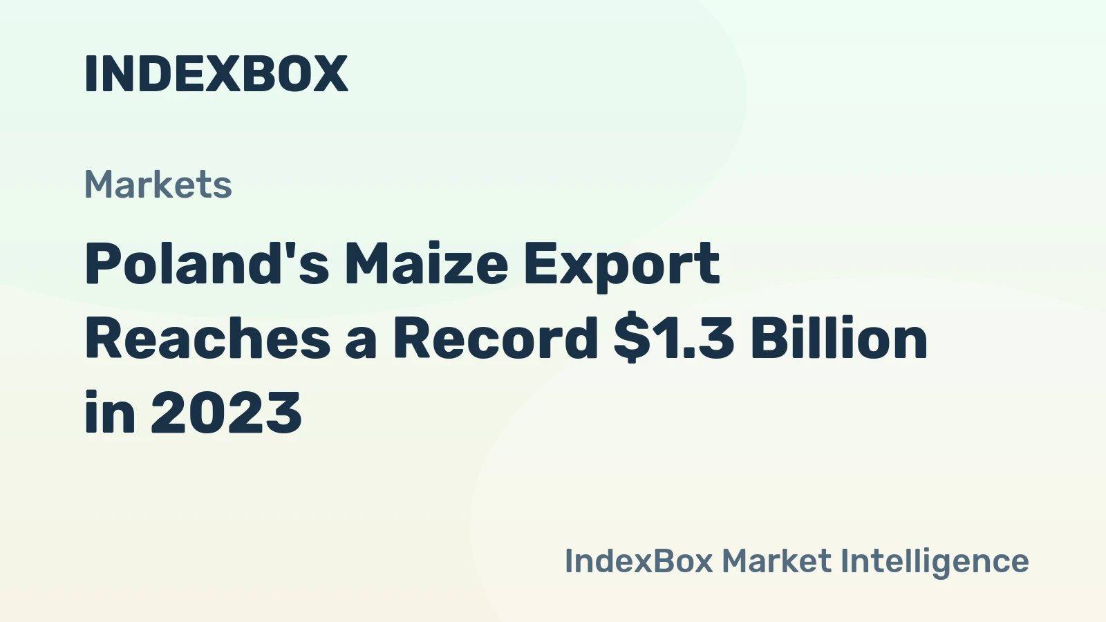 Poland's Maize Export Reaches a Record $1.3 Billion in 2023