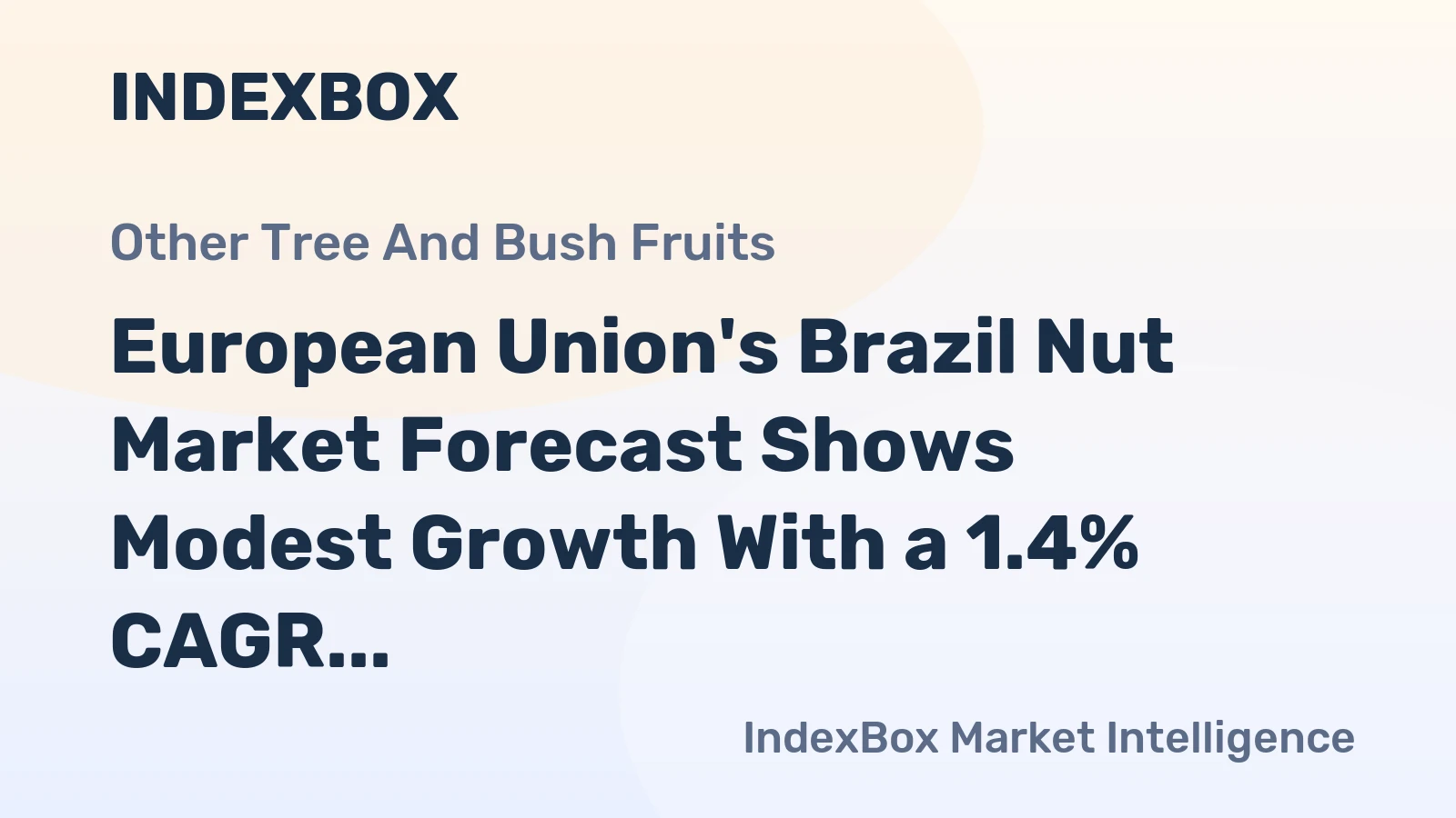 European Union's Brazil Nut Market Forecast Shows Modest Growth With a 1.4% CAGR in Value