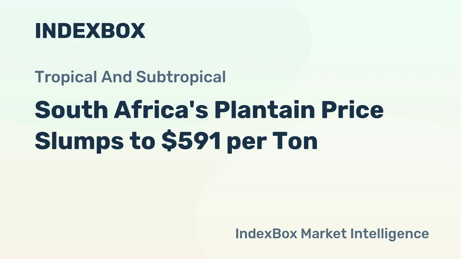 South Africa's Plantain Price Slumps to $591 per Ton