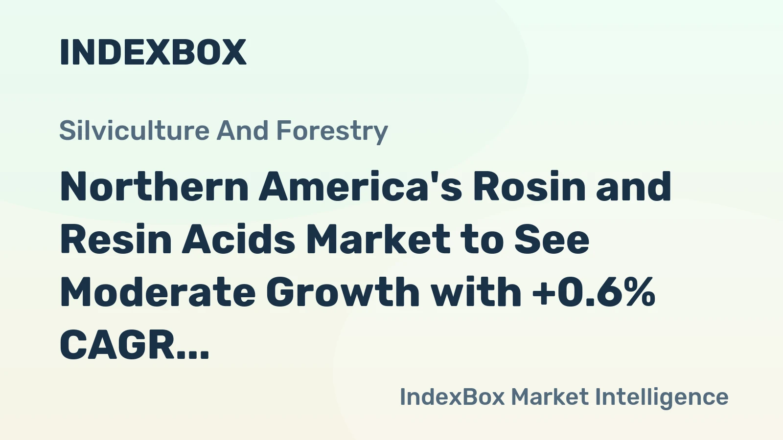 Northern America's Rosin and Resin Acids Market to See Moderate Growth with +0.6% CAGR Forecasted for 2024-2035