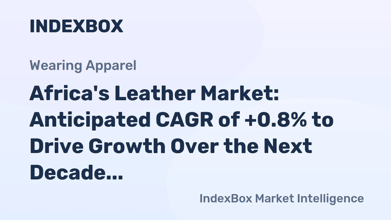 Africa's Leather Market: Anticipated CAGR of +0.8% to Drive Growth Over the Next Decade