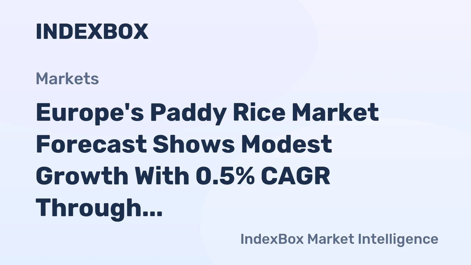 Europe's Paddy Rice Market Forecast Shows Modest Growth With 0.5% CAGR Through 2035