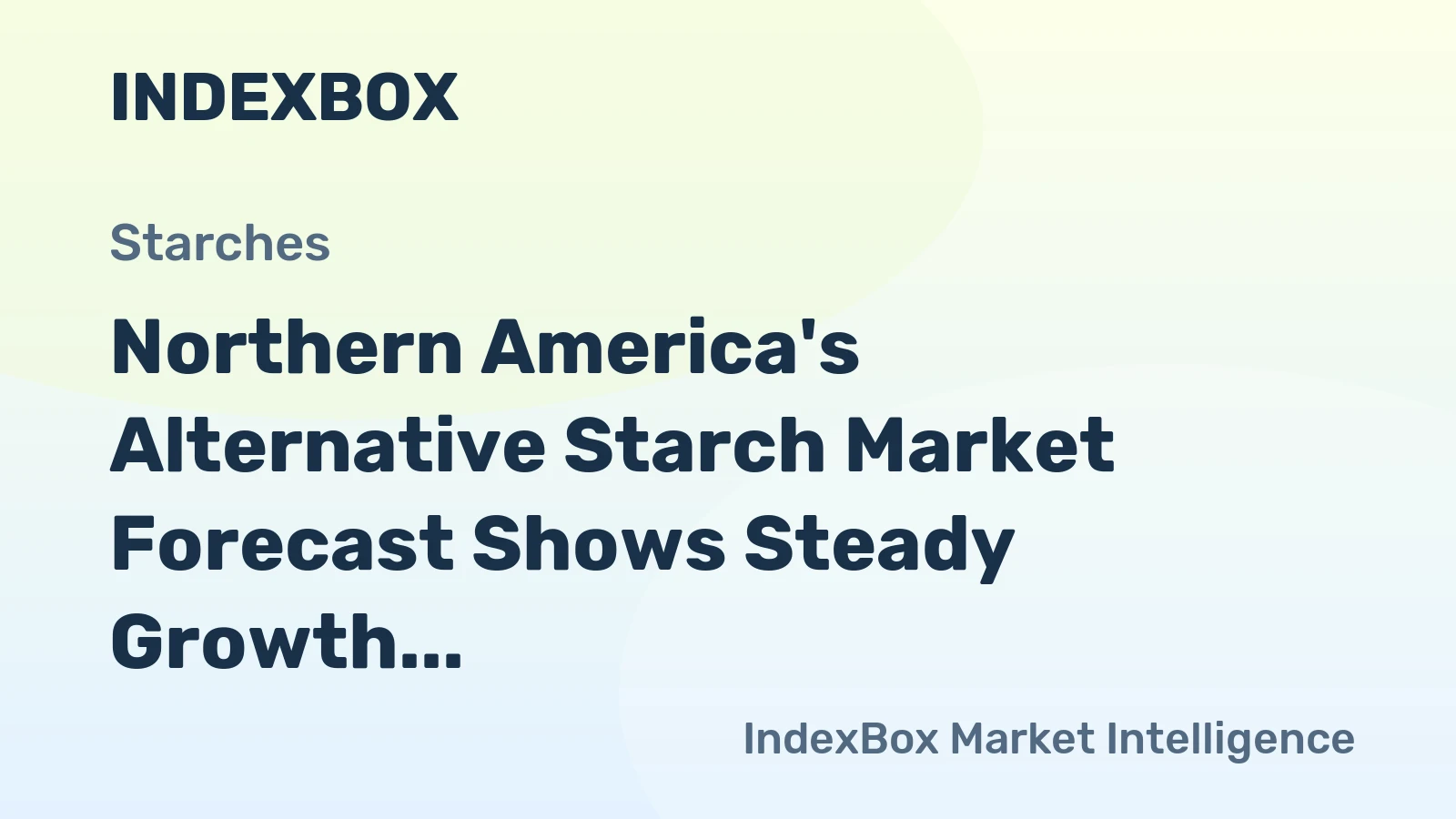 Northern America's Alternative Starch Market Forecast Shows Steady Growth with 3% CAGR in Value