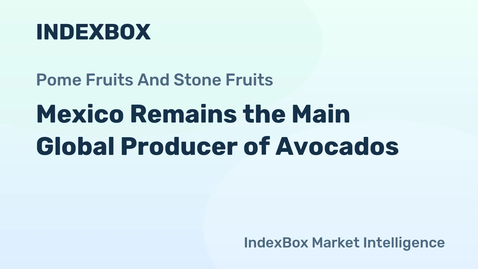 Mexico Remains the Main Global Producer of Avocados
