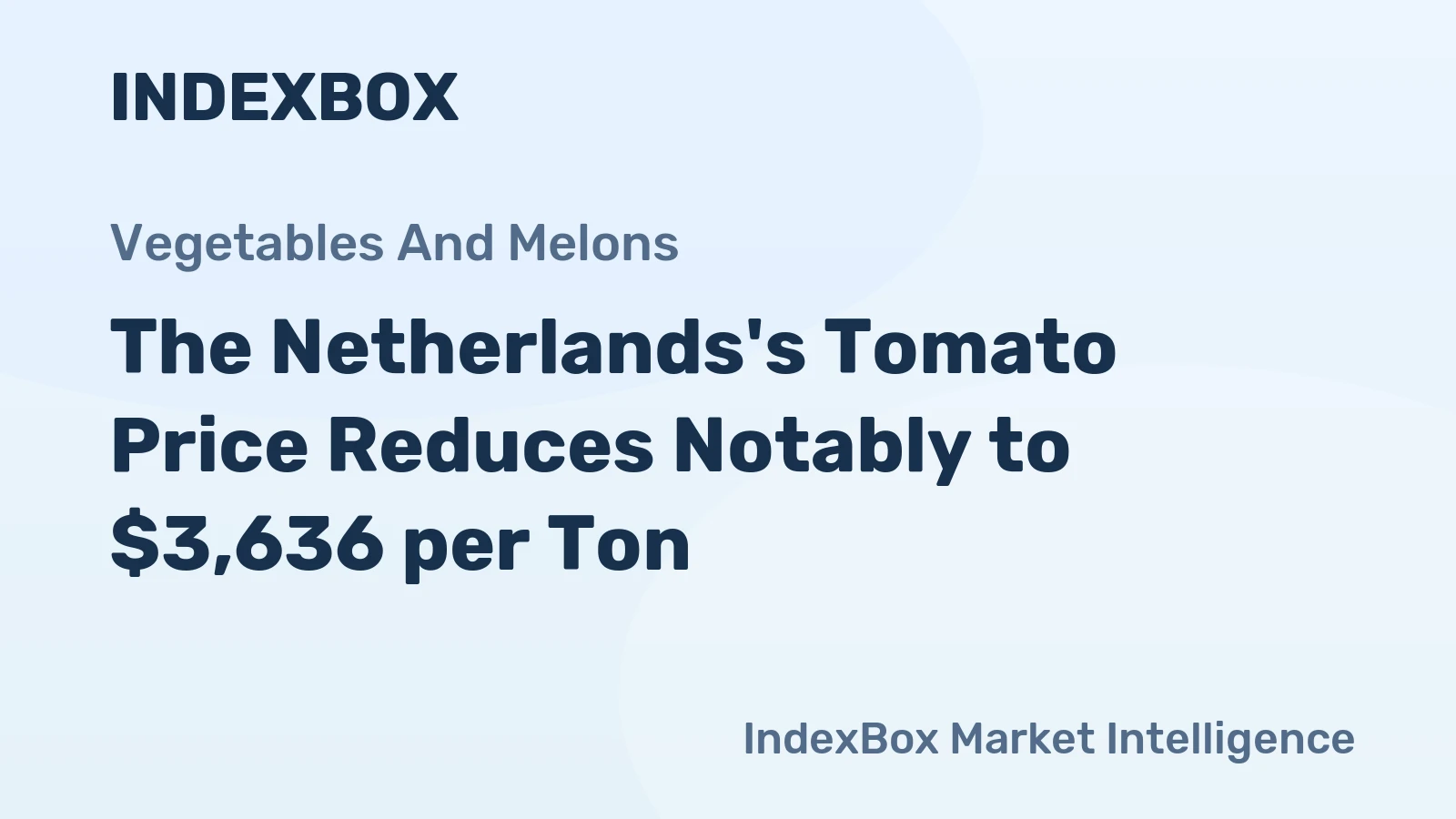 The Netherlands's Tomato Price Reduces Notably to $3,636 per Ton