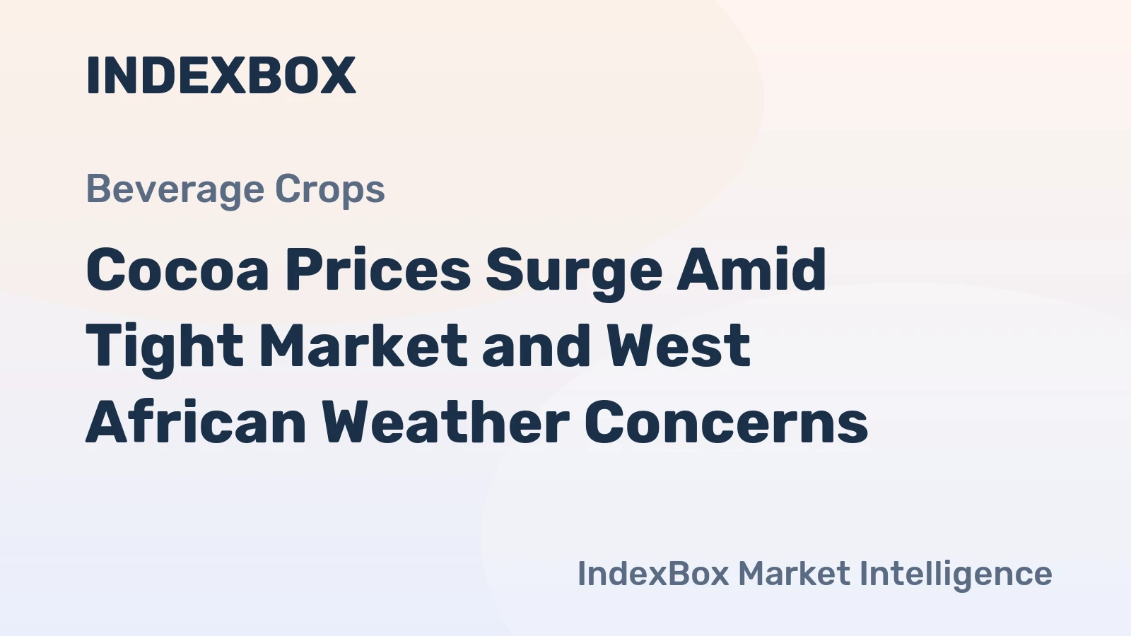 Cocoa Prices Surge Amid Tight Market and West African Weather Concerns