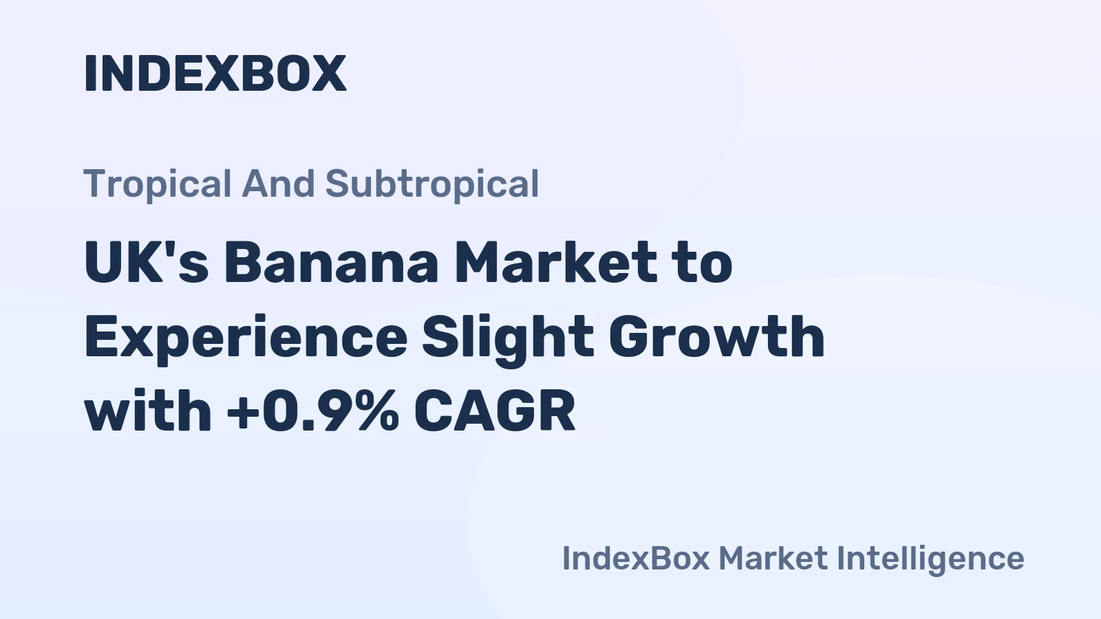 UK's Banana Market to Experience Slight Growth with +0.9% CAGR