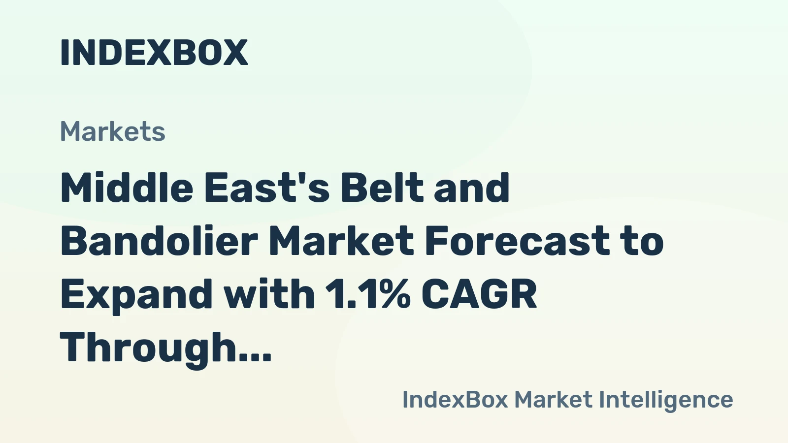 Middle East's Belt and Bandolier Market Forecast to Expand with 1.1% CAGR Through 2035