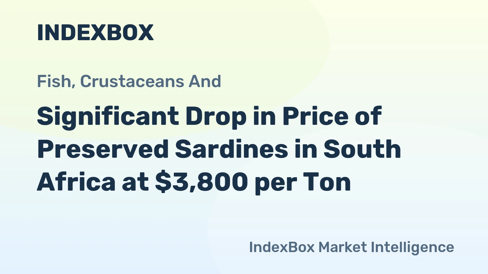 Significant Drop in Price of Preserved Sardines in South Africa at $3,800 per Ton