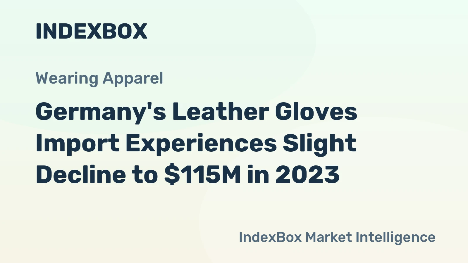 Germany's Leather Gloves Import Experiences Slight Decline to $115M in 2023