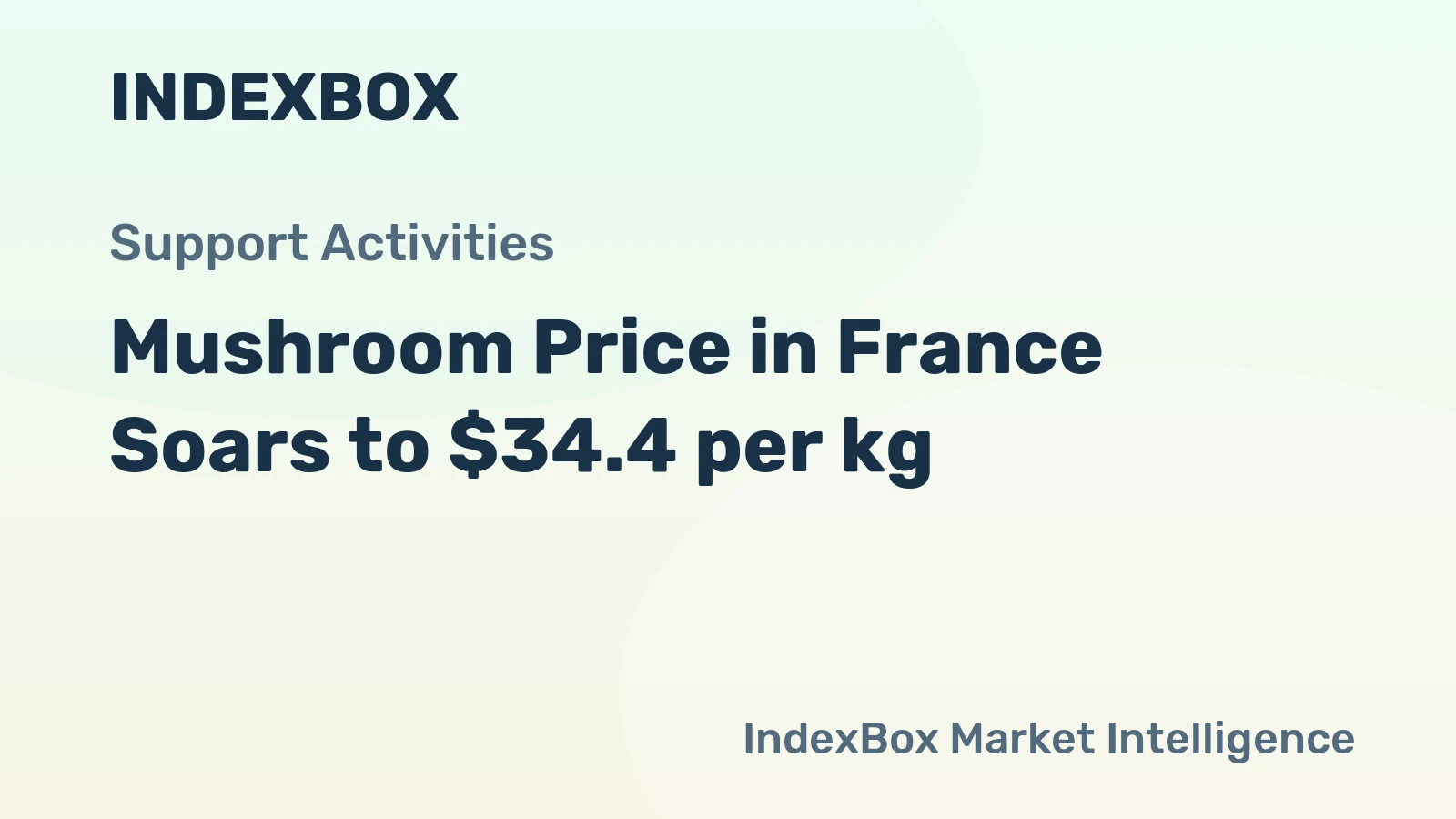 Mushroom Price in France Soars to $34.4 per kg