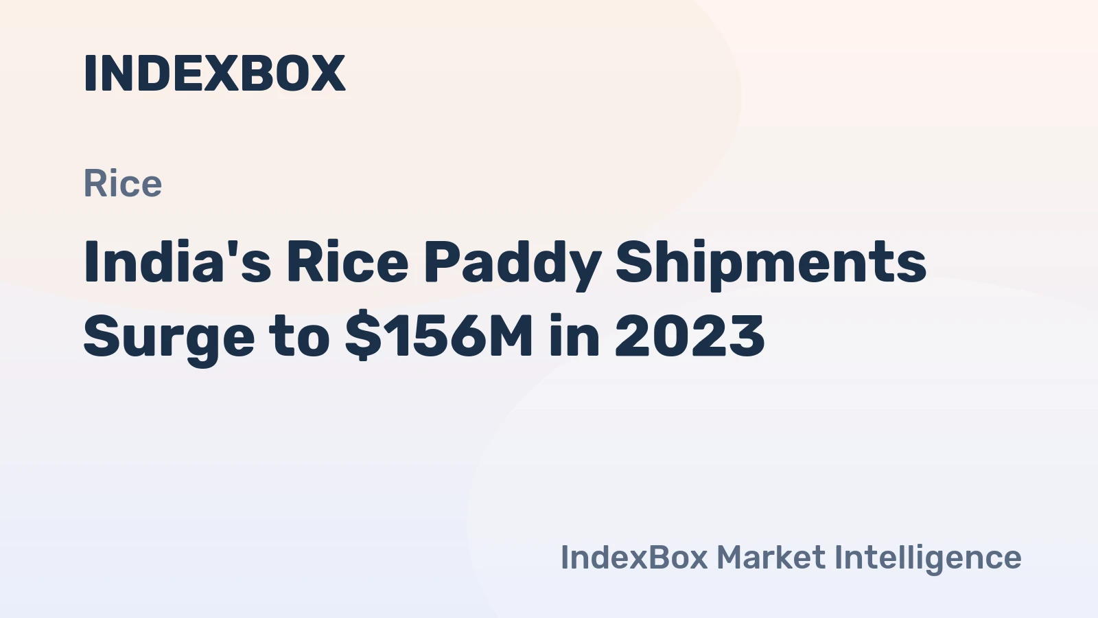 India's Rice Paddy Shipments Surge to $156M in 2023