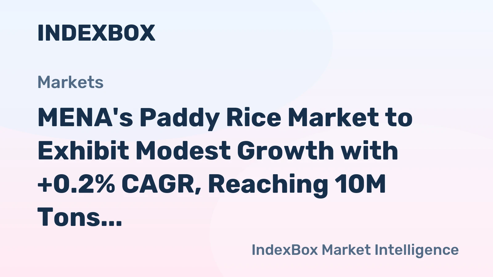MENA's Paddy Rice Market to Exhibit Modest Growth with +0.2% CAGR, Reaching 10M Tons by 2035