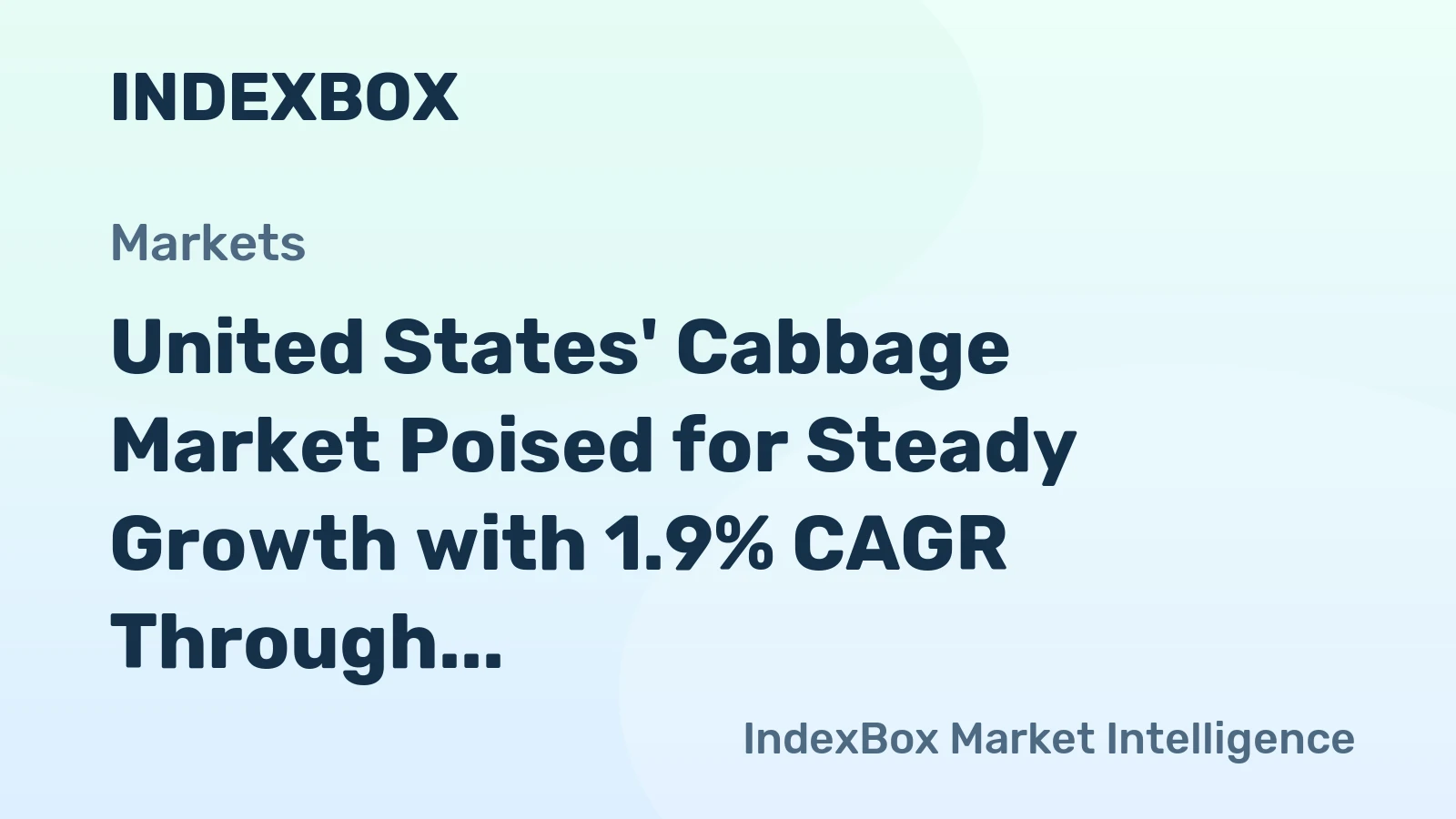 United States' Cabbage Market Poised for Steady Growth with 1.9% CAGR Through 2035