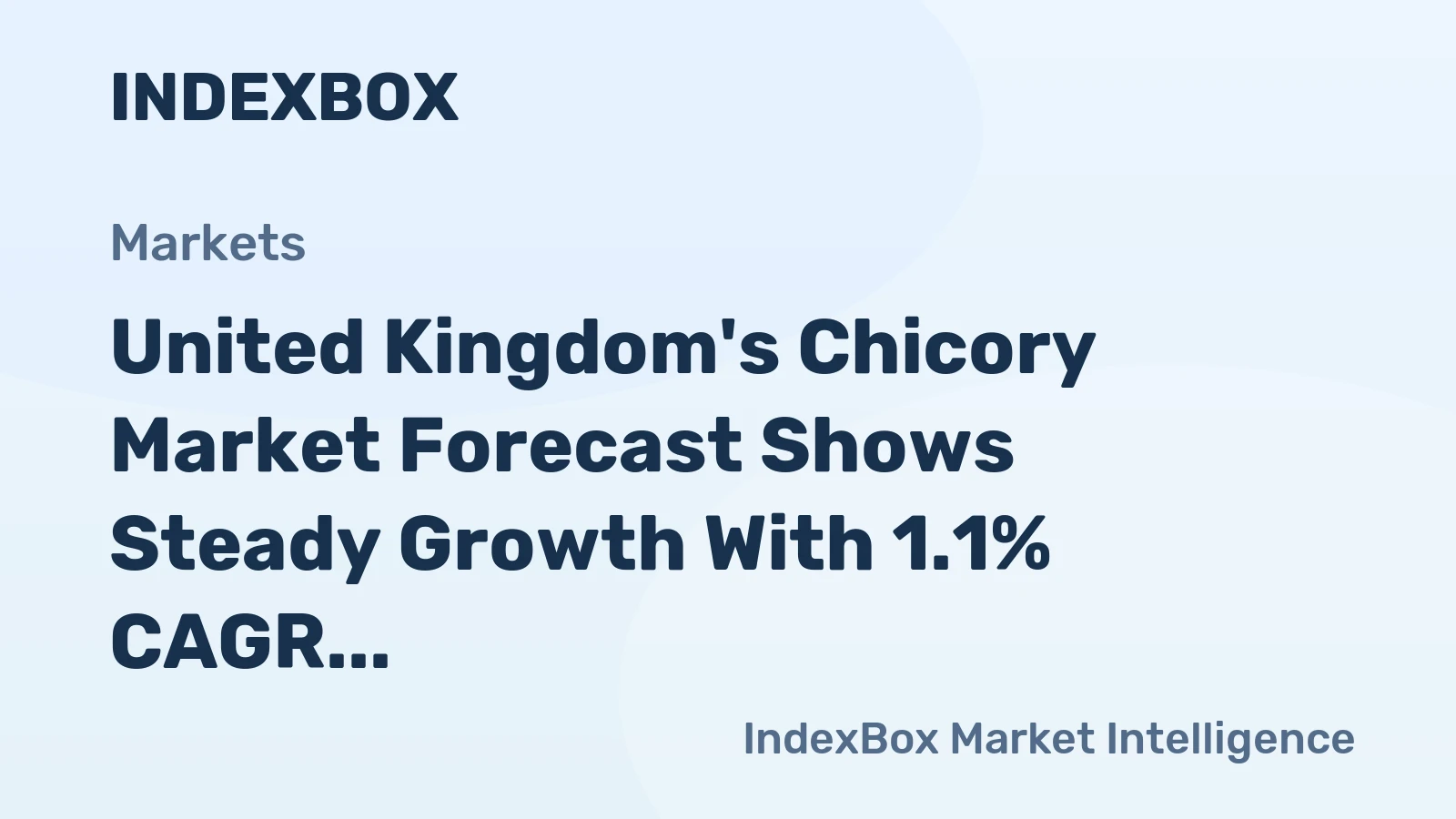 United Kingdom's Chicory Market Forecast Shows Steady Growth With 1.1% CAGR