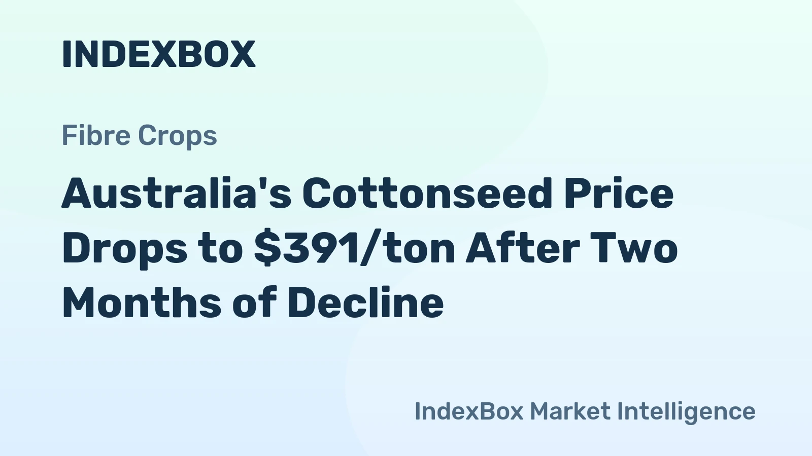 Australia's Cottonseed Price Drops to $391/ton After Two Months of Decline