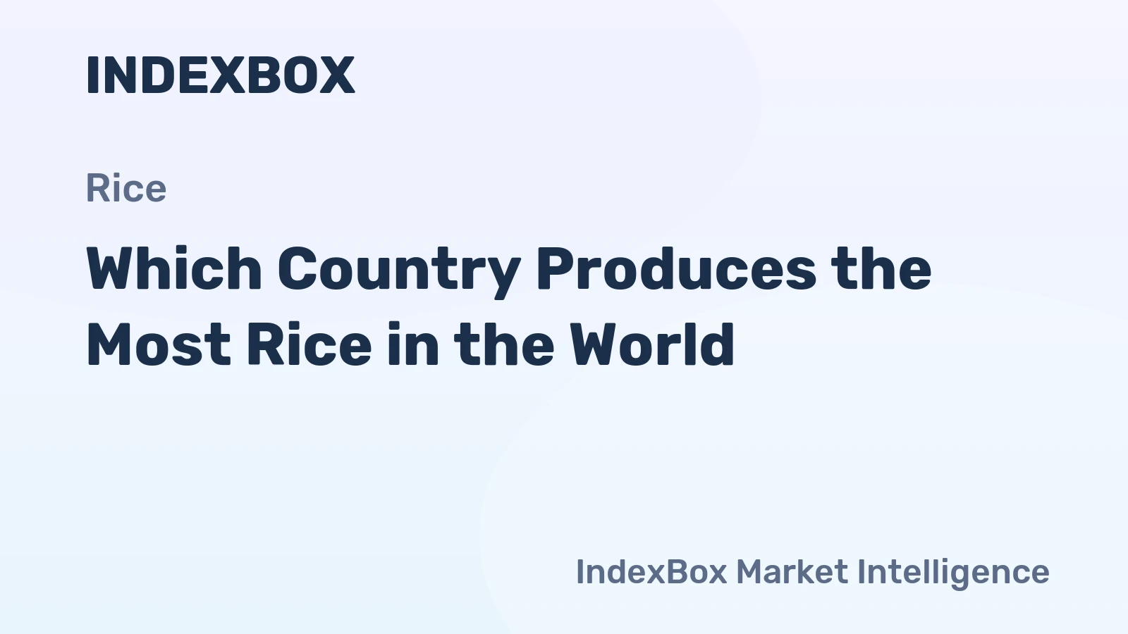 Which Country Produces the Most Rice in the World?