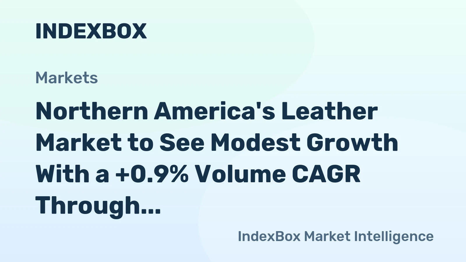 Northern America's Leather Market to See Modest Growth With a +0.9% Volume CAGR Through 2035