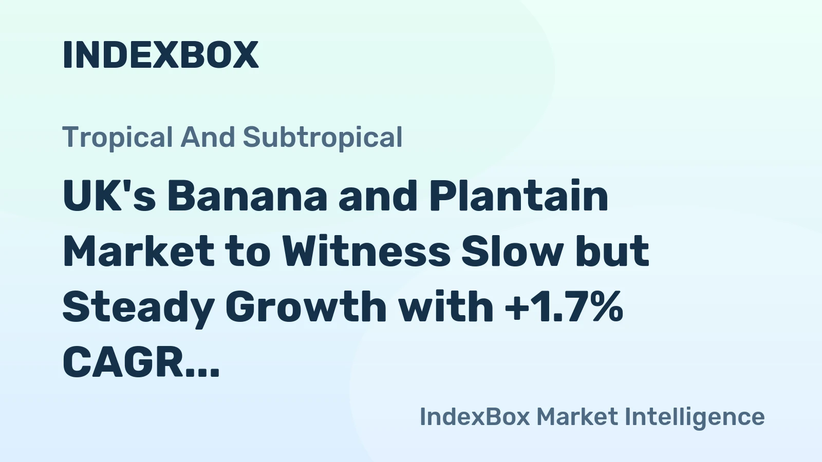 UK's Banana and Plantain Market to Witness Slow but Steady Growth with +1.7% CAGR