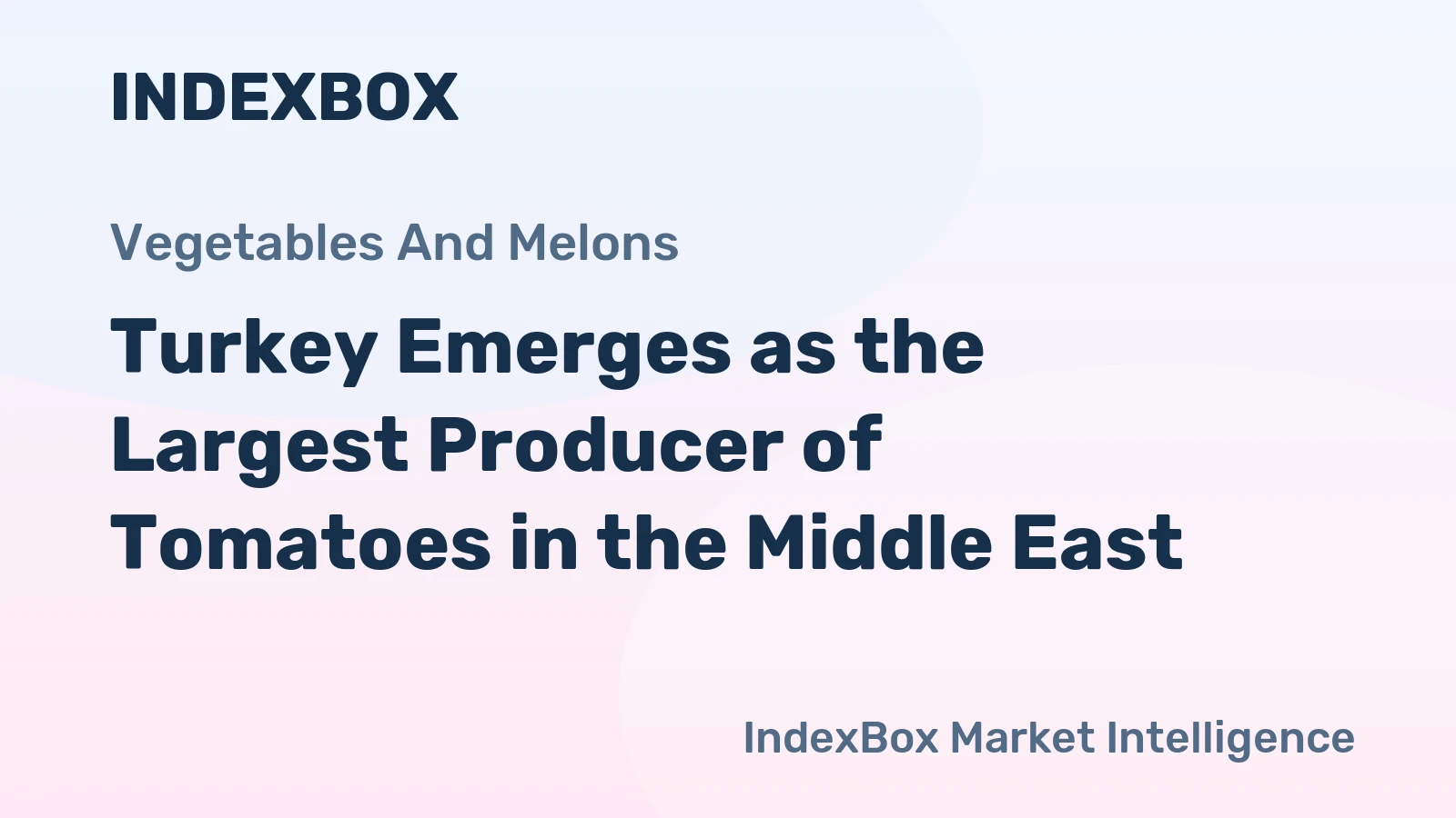 Turkey Emerges as the Largest Producer of Tomatoes in the Middle East