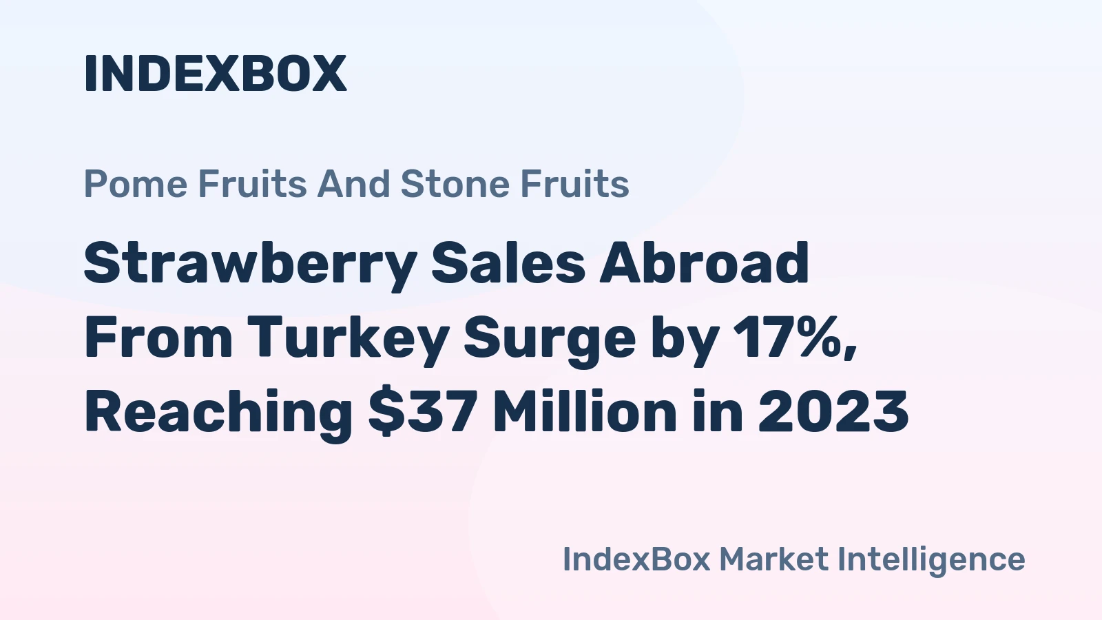 Strawberry Sales Abroad From Turkey Surge by 17%, Reaching $37 Million in 2023