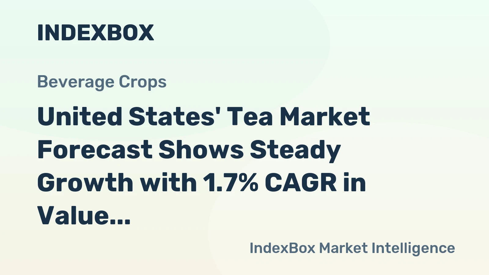 United States' Tea Market Forecast Shows Steady Growth with 1.7% CAGR in Value