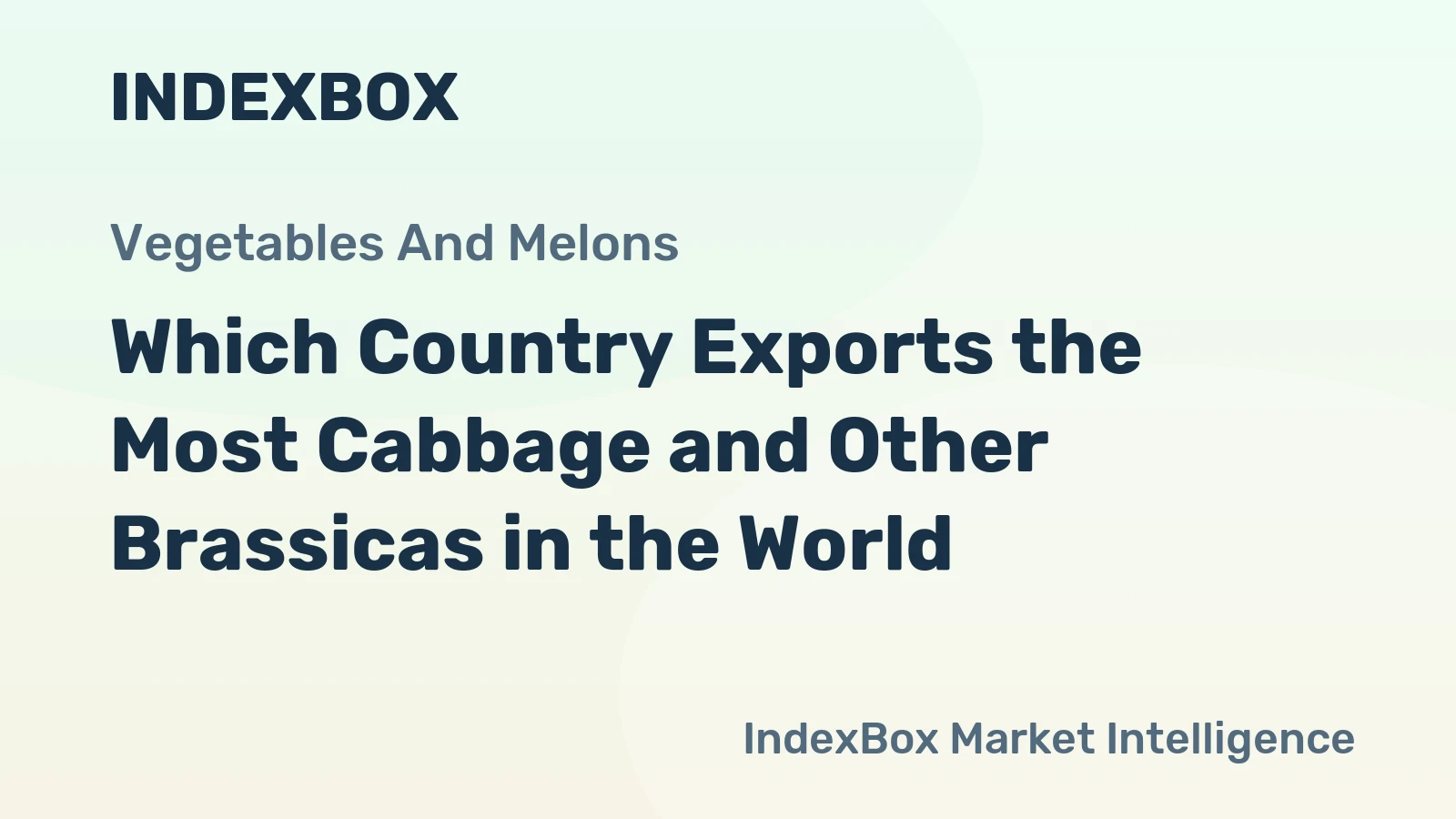 Which Country Exports the Most Cabbage and Other Brassicas in the World?