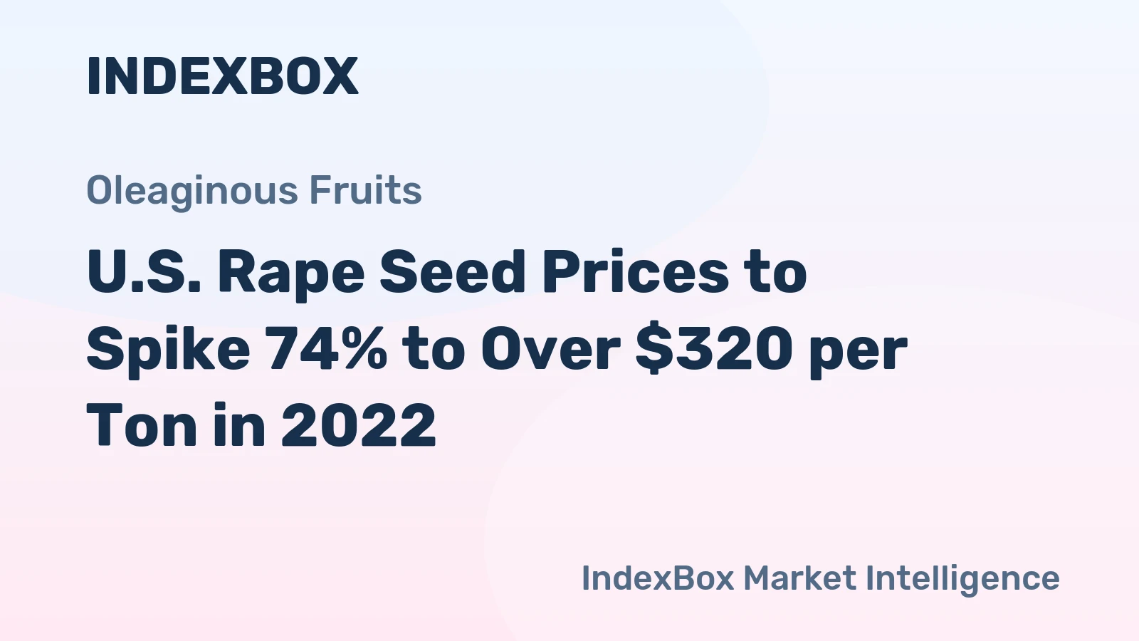 U.S. Rape Seed Prices to Spike 74% to Over $320 per Ton in 2022