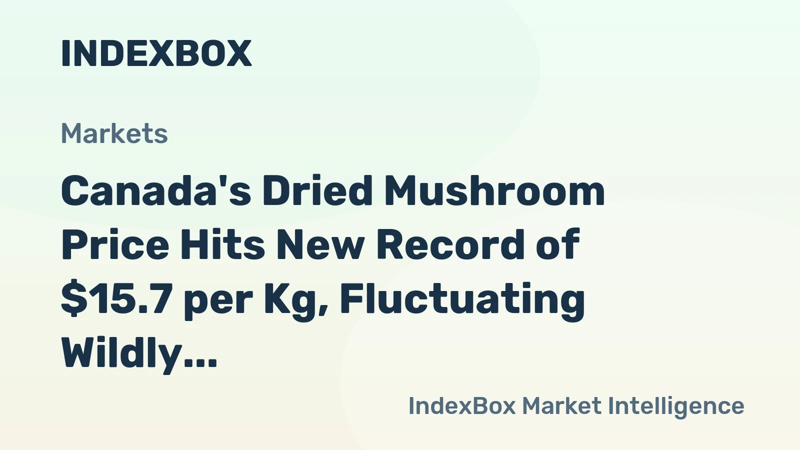 Canada's Dried Mushroom Price Hits New Record of $15.7 per Kg, Fluctuating Wildly over 2022