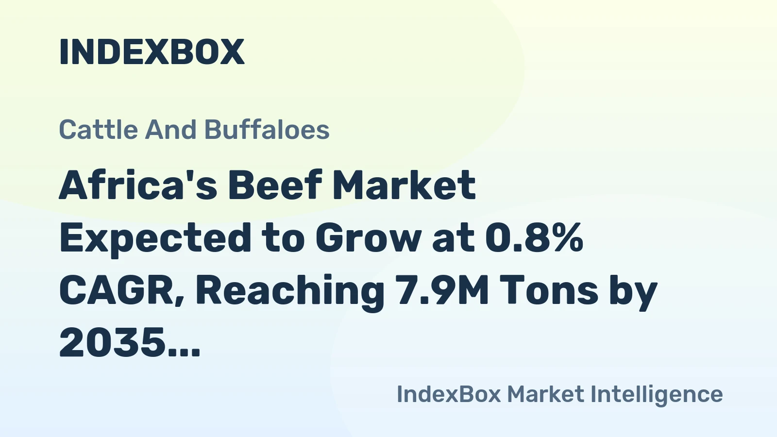 Africa's Beef Market Expected to Grow at 0.8% CAGR, Reaching 7.9M Tons by 2035